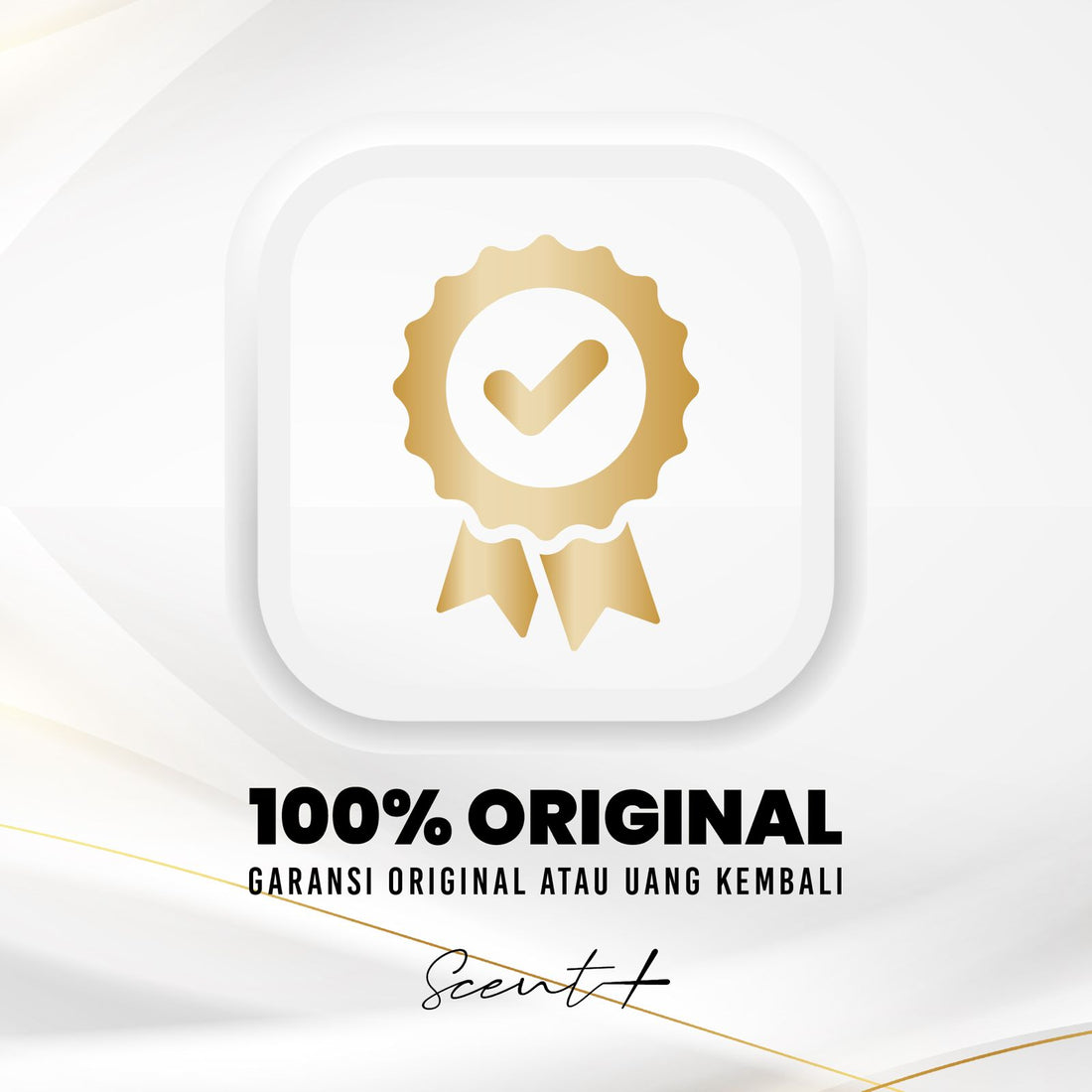 exclusive – Scentplus